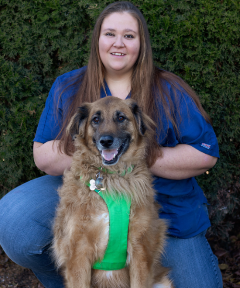 Veterinarian In Harrison, OH | Harrison Animal Hospital