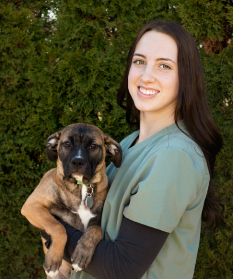 Veterinarian In Harrison, OH | Harrison Animal Hospital