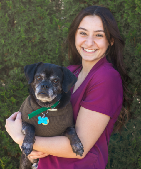 Veterinarian In Harrison, OH | Harrison Animal Hospital