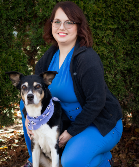 Veterinarian In Harrison, OH | Harrison Animal Hospital
