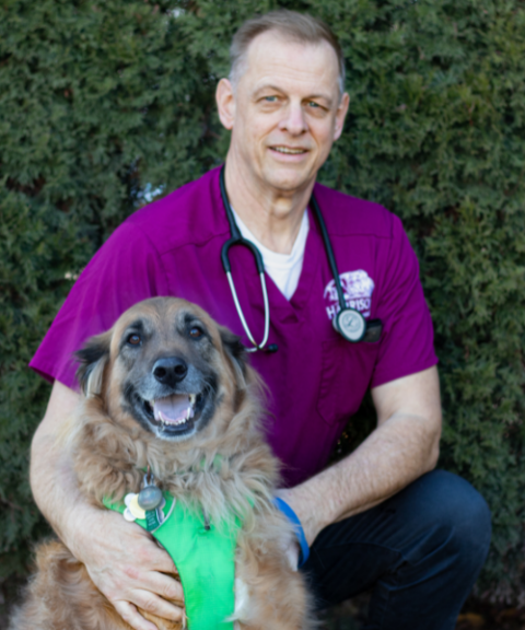 Veterinarian In Harrison, OH | Harrison Animal Hospital