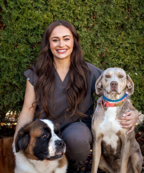 Veterinarian In Harrison, OH | Harrison Animal Hospital